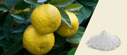 Bitter Orange Extract Powder | A Product Of NATCO, Inc.